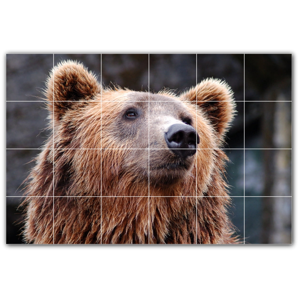 Picture-Tiles.com: Bear Ceramic Tile Wall Mural WAL500127-64L. 48"W x ...