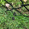 CaraMart 6Pcs 30cm Tent Stakes J Hook Ground Anchors Galvanized Steel ...