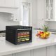 Rosewill Professional Food Dehydrator in Black RHFD-18001 - Walmart.com