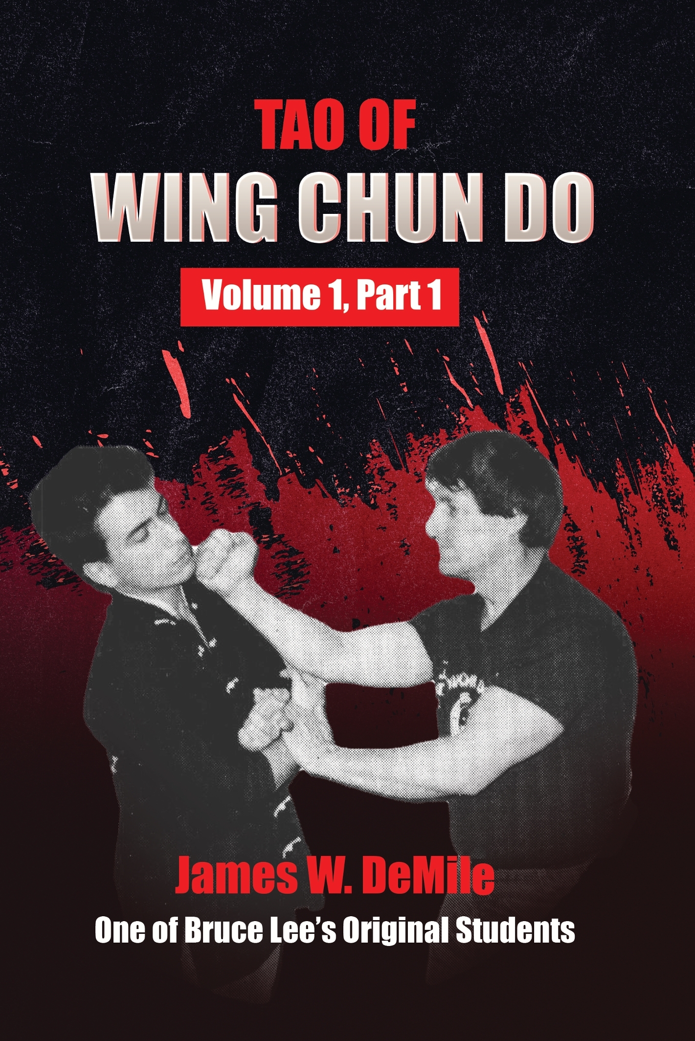 Tao of Wing Chun Do Vol 1 Part 1 Book James DeMile, martial arts ...