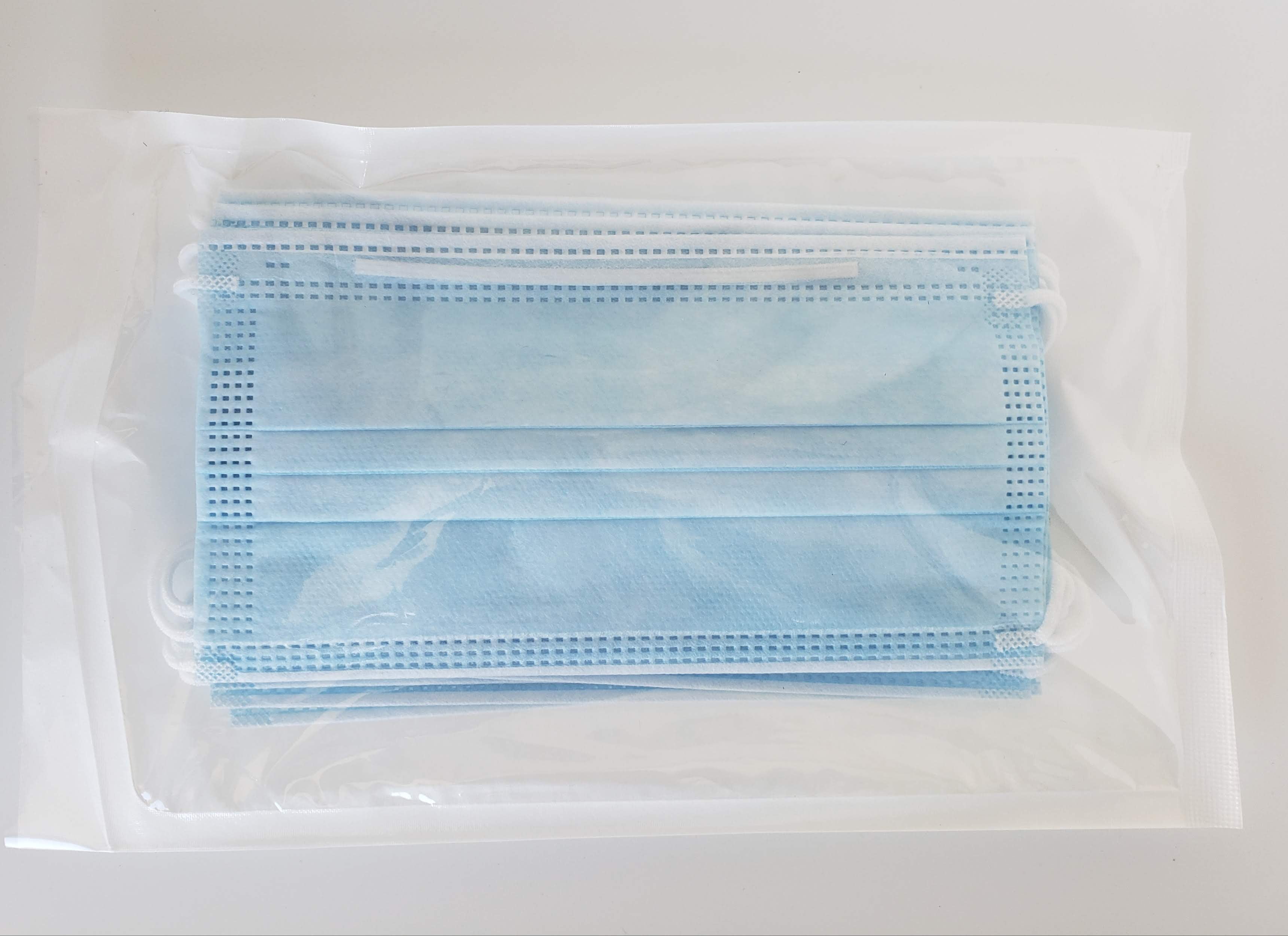 ProSeries Healthcare - Earloop Face Mask - 10 Pack - Walmart.com