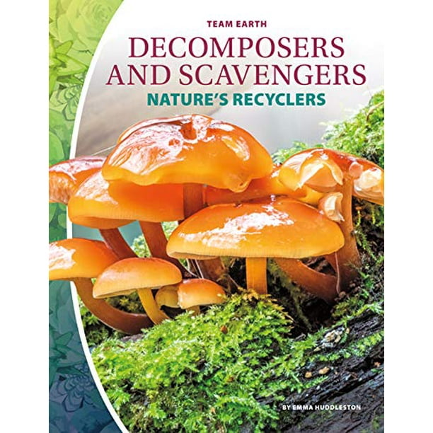 Decomposer