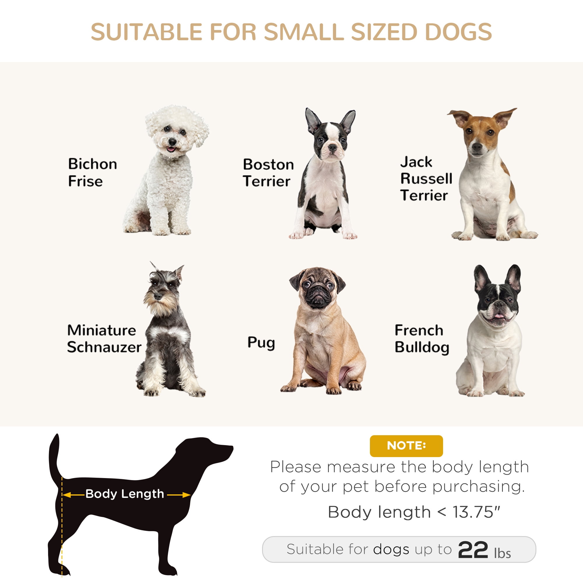 Small Dog Breeds Chart