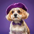 Dog Cat Beret Wool Hat Headband French Artist Beanie Beret Pet Dog ...