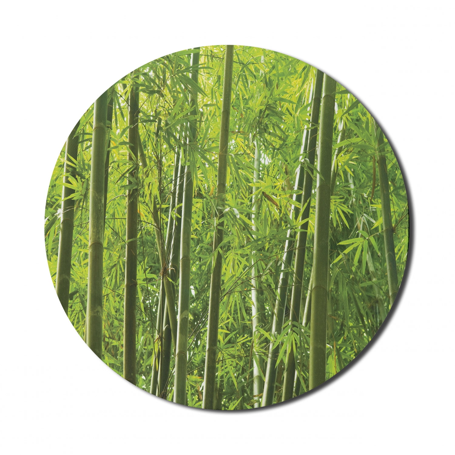 Bamboo Print Mouse Pad for Computers, Exotic Tropical Forest Fresh ...