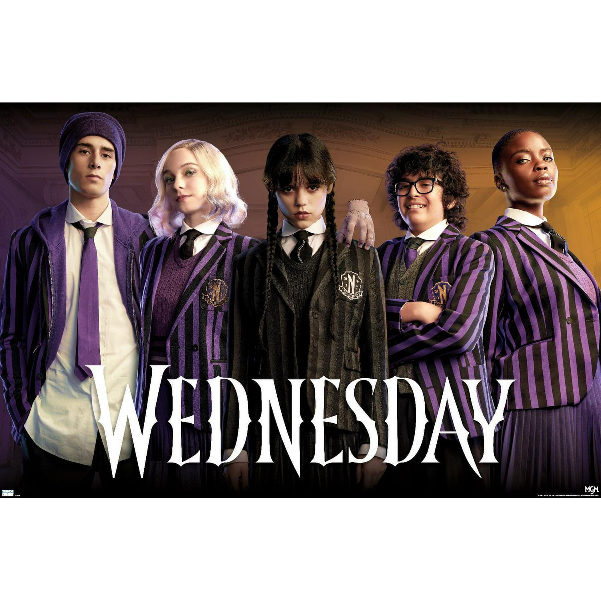 Click here for Trends International Wednesday - Group Wall Poster... prices