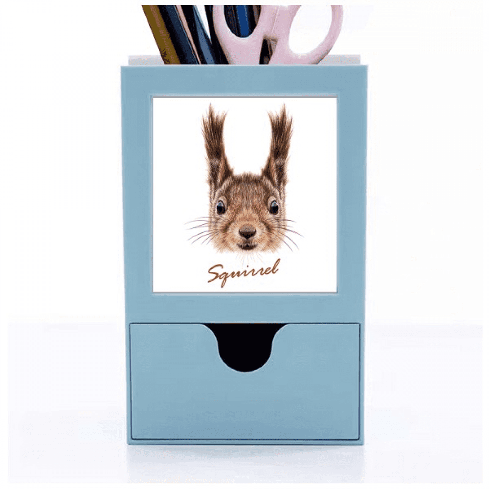 Little Brown Long Ears Squirrel Animal Desk Supplies Organizer Pen ...