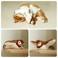 Risehigh Cat Toys for Indoor Cats Interactive Flapping Chirping Bird ...