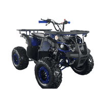 RPS Mini Desert 125CRT ATV, 125cc, Automatic with Reverse, Disc Brakes ...