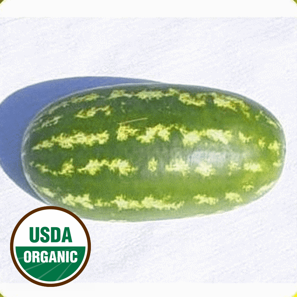 Everwilde Farms - 1 Lb Organic All Sweet Watermelon Seeds - Gold Vault ...