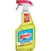 Windex Citrus 32 fl oz Multi-Surface Spray Disinfectant Cleaner ...