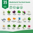 Organo Republic Medicinal and Tea Herb Seeds Variety Pack Heirloom ...