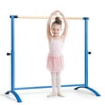 Costway 51'' Portable Freestanding Stretching Dancing Ballet Bar with 4 ...