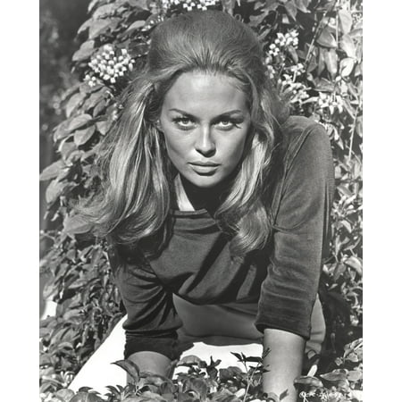 Faye Dunaway Posed in Classic Photo Print (8 x 10) | Walmart Canada