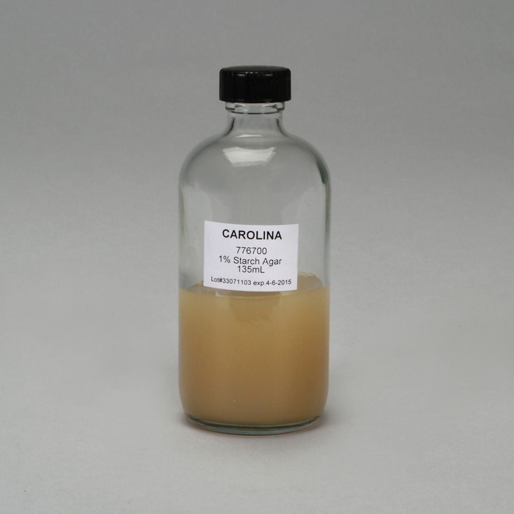 Starch Agar, 1%, Prepared Media Bottle, 125 mL - Walmart.com - Walmart.com