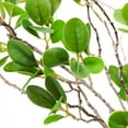 3 Pack Artificial Greenery Stems Branches for Vase Fake Ficus Stems ...