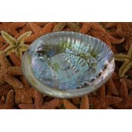 Dyed & Natural Mixed Sea Shells by Ashland® - Walmart.com