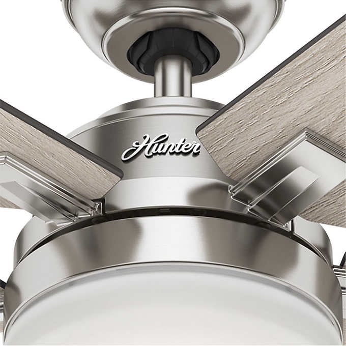 Hunter Apex 137 16 Cm 54 In Led Ceiling Fan With Remote | Shelly Lighting