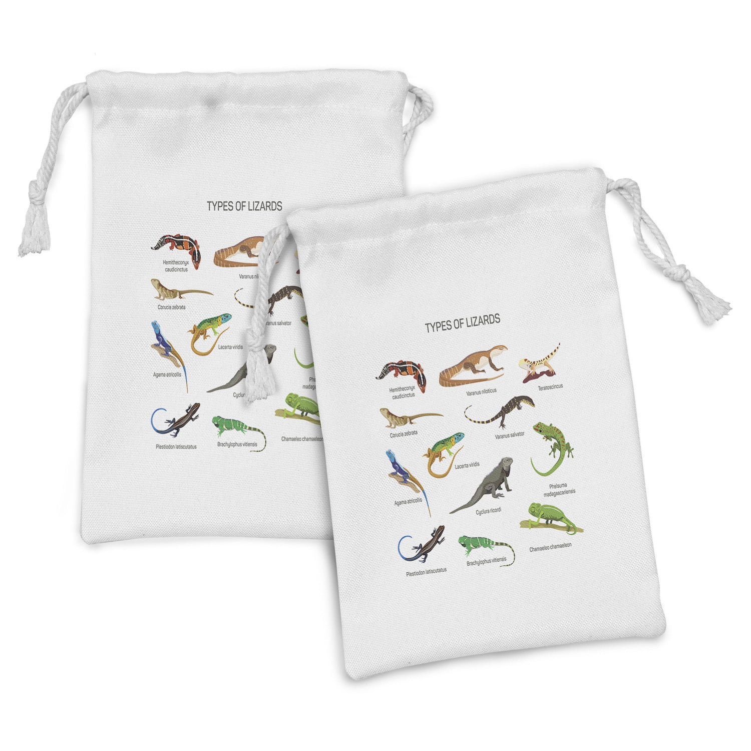 Reptile Fabric Pouch Set of 2, Lizard Family Design on Plain Background ...