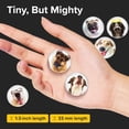 Super Cute Glass Magnets – Decorative Multipack Set with Strong Grip ...
