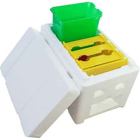 Queen bee breeding Box bee apidea mating nuc hive Queen Rearing nucs Mini bee Hives Beekeeping ...