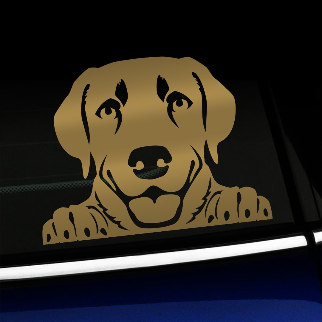 Peeking Labrador Retriever - Vinyl Car Decal - Choose Color - [GOLD ...
