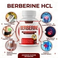 Decent Nature Berberine Supplement 1800mg Berberine HCl 97% Purity 90 ...