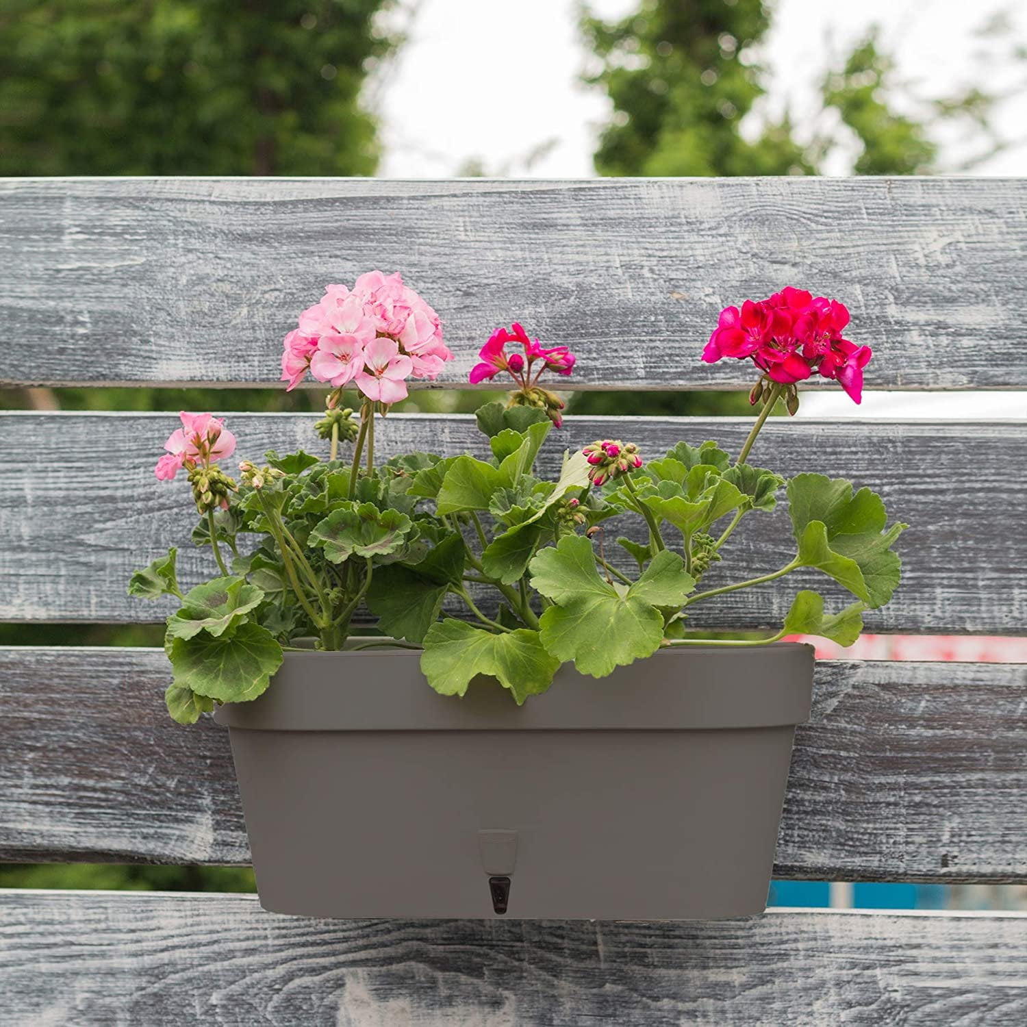 DecoPots - Self Watering Window Box Planter - Indoor/Outdoor - Windows ...