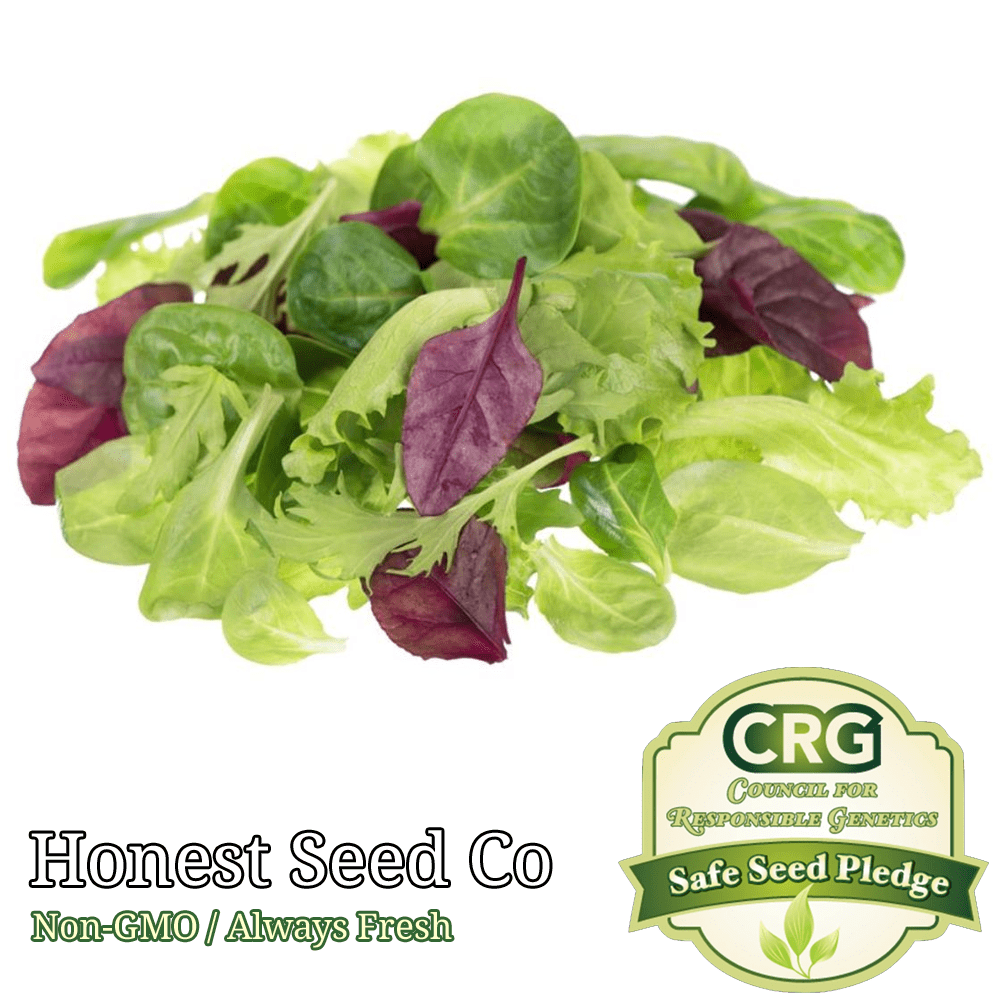 Lettuce Seeds - Mixed Greens - Mesclun Mix | Non-GMO Heirloom Garden ...