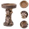 Resin Raccoon Birdbath Polyresin Gardening Bird Drinking Ornaments For ...