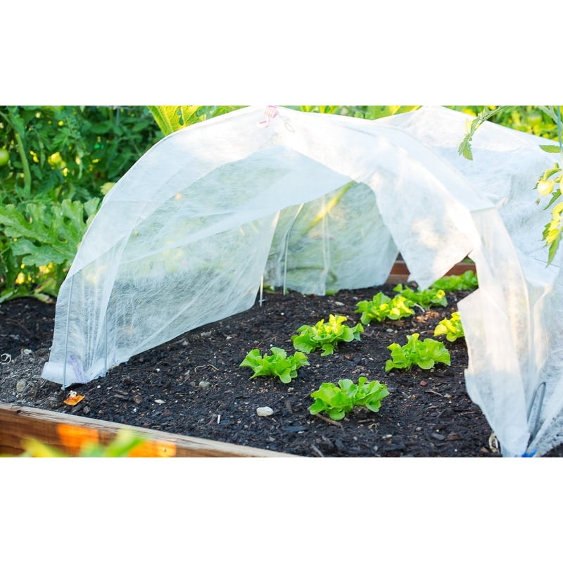 Agfabric Floating Row Cover Plant Protection,0.9oz,White 6'x25 ...