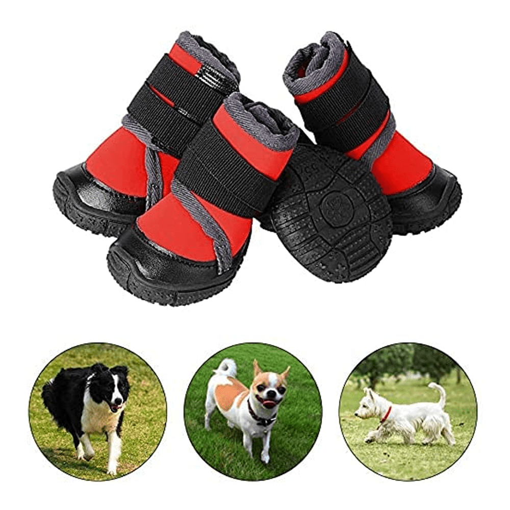 When To Put Boots On A Dog