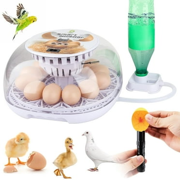 Digital Egg Incubator for Hatching 9-12 Chicken, Quail and Duck Eggs, with Fully Automatic Egg ...