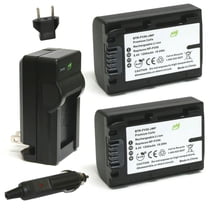 Replacement for Sony NP-FV30 Battery (2-Pack, 1200mAh) and Charger with ...