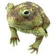 Nicky Bigs Novelties Realistic Giant Latex Frog/Toad Prop, Multi, 10 ...