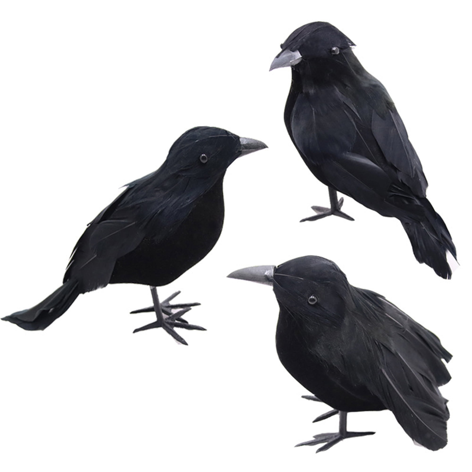 Creepy Crows