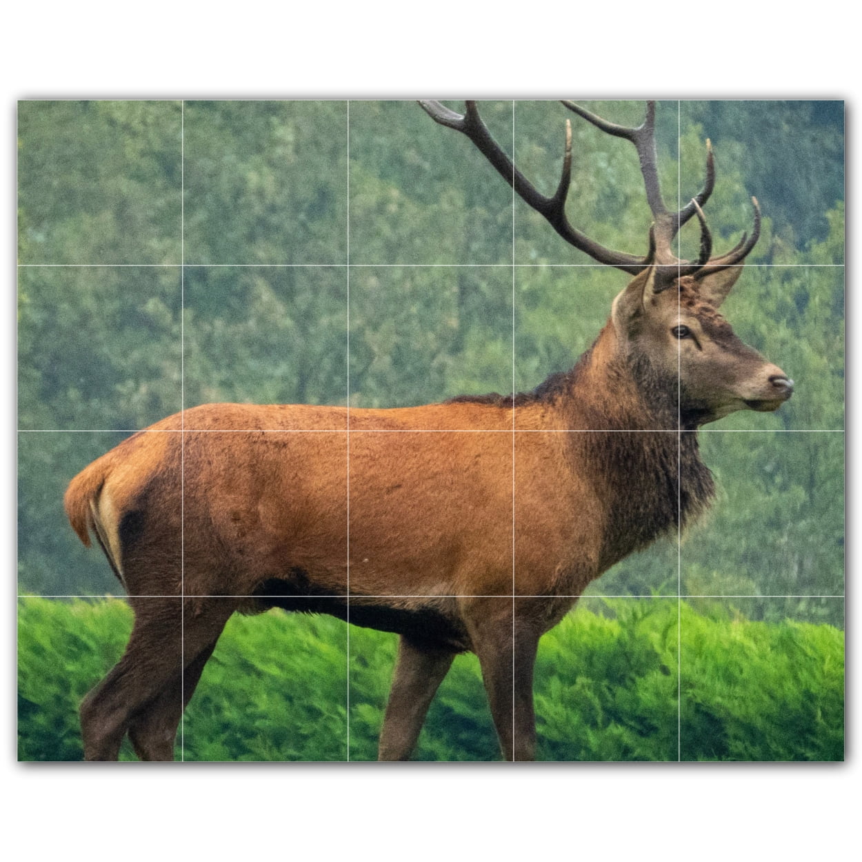 Picture-Tiles.com: Deer Ceramic Tile Wall Mural WAL500441-54XL. 60"W x ...