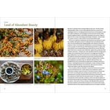 Southwest Foraging - Paperback - Walmart.com
