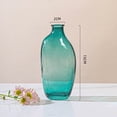 AOMXGD Ins Style Glass Vase Hydroponic Green Plants Home Decoration ...