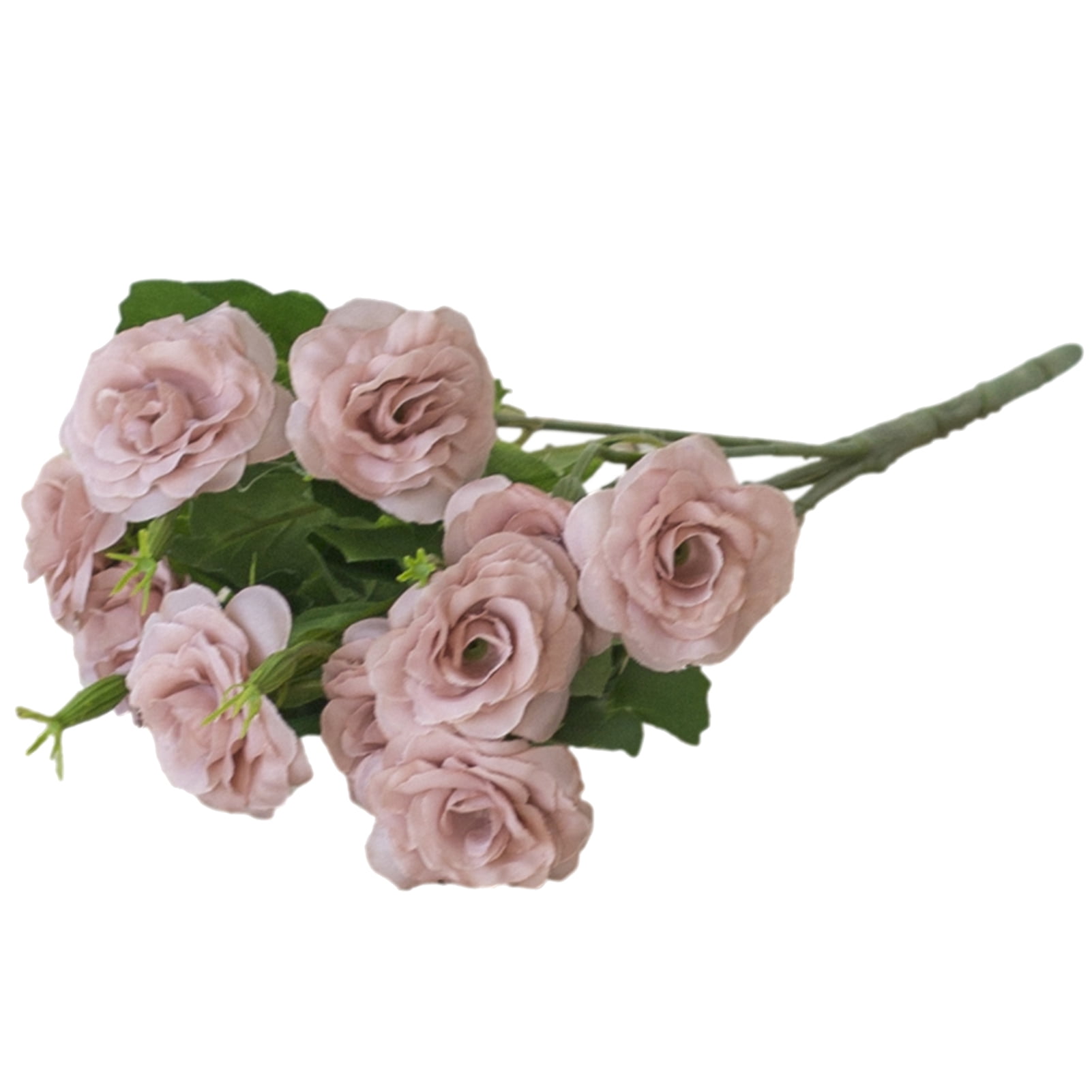 Vitality Garden Rose