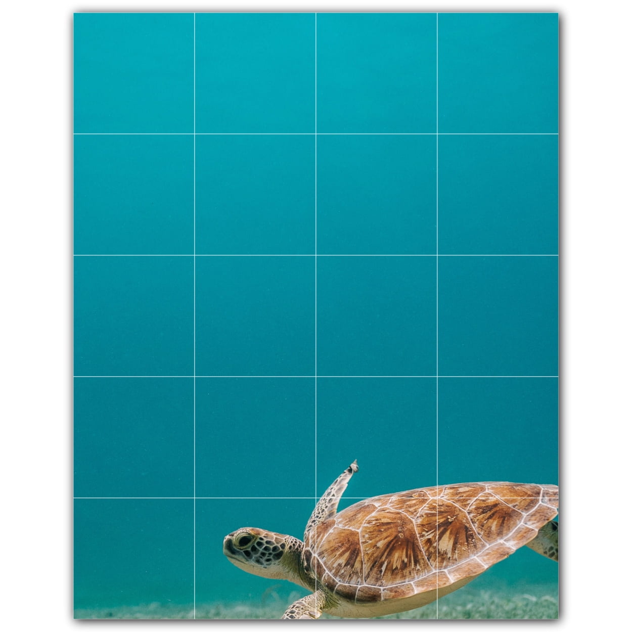 Picture-Tiles.com: Turtle Ceramic Tile Wall Mural WAL501051-45S. 17"W x ...