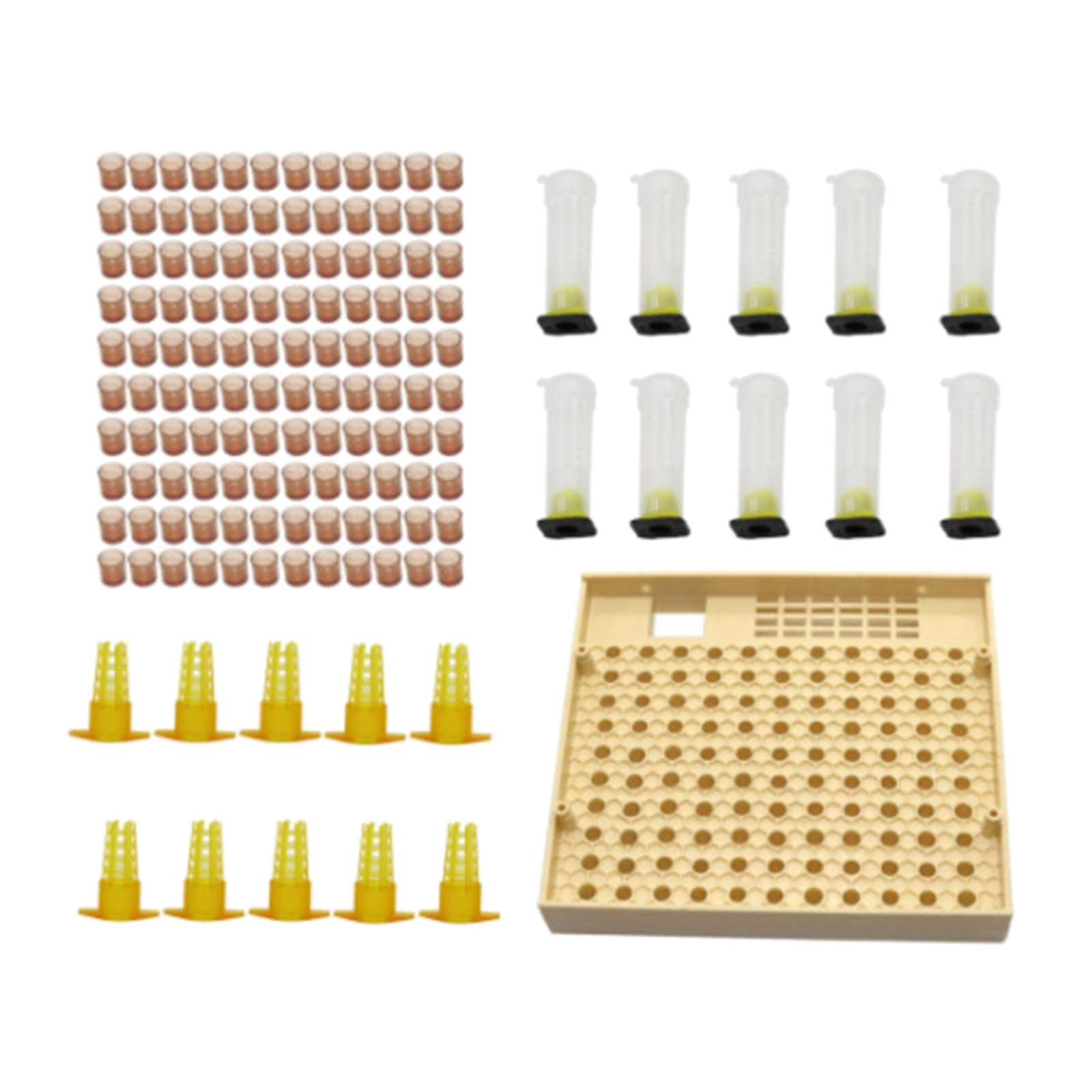 Queen Rearing Cup Rearing keeping Tools - Walmart.com