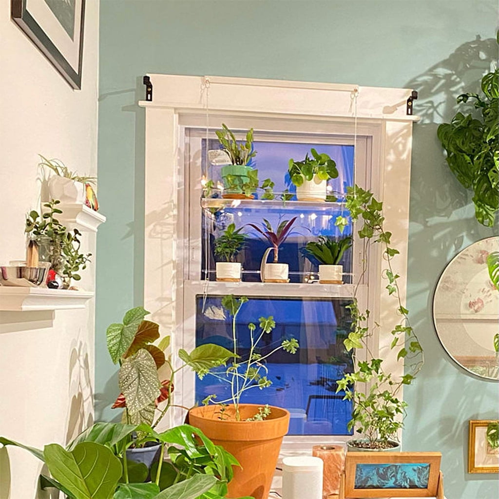 Hanging window shelves store