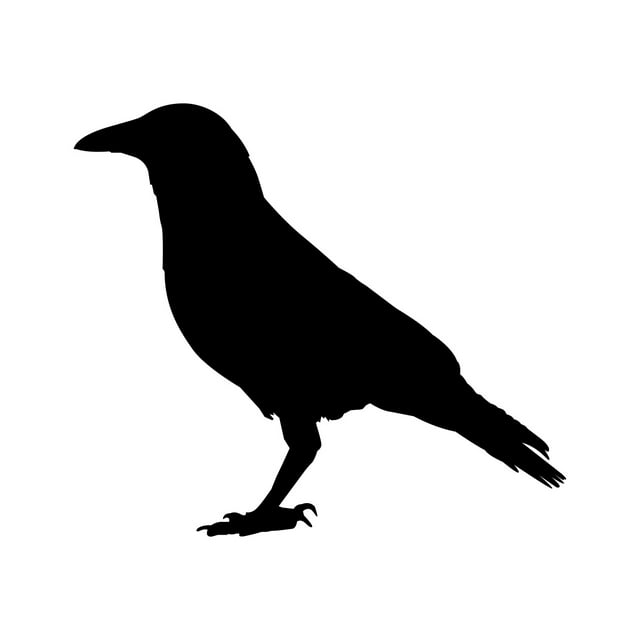 Crow Sticker Decal Die Cut - Self Adhesive Vinyl - Weatherproof - Made ...
