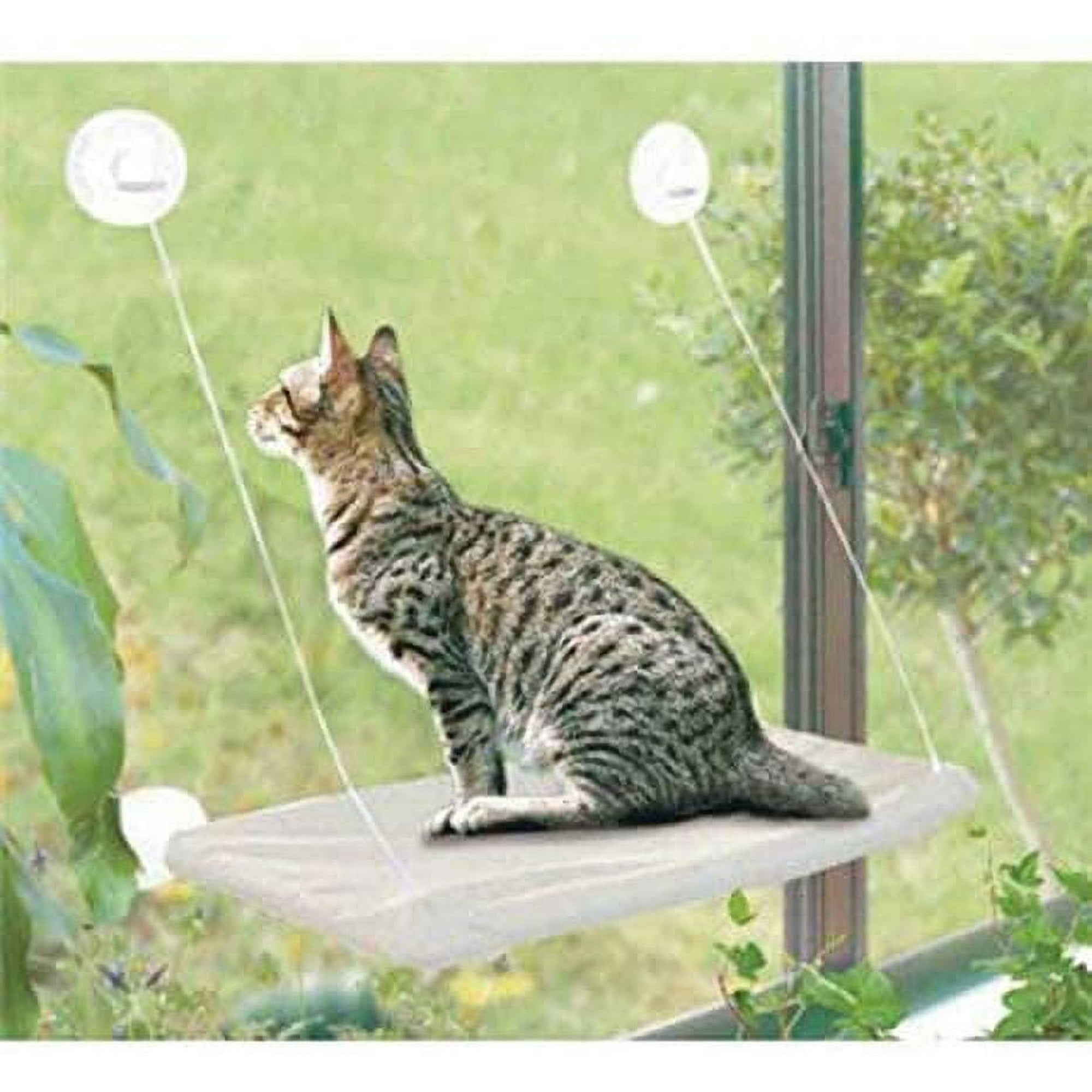Click here for Pengxiang Cat Bed Cat Window Perch Window Seat Suc... prices