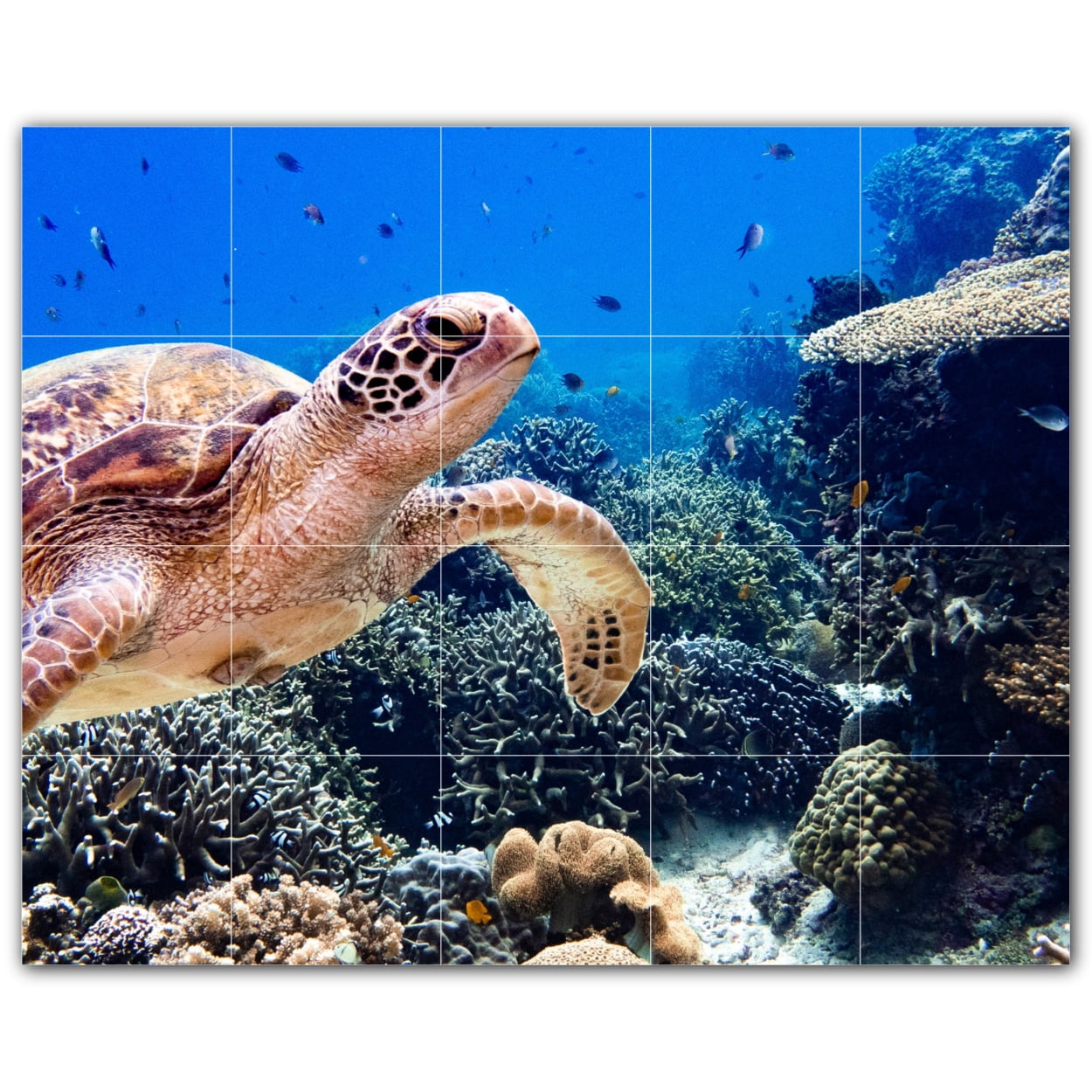 Picture-Tiles.com: Turtle Ceramic Tile Wall Mural WAL501074-54L. 40"W x ...