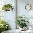 Diigabo 3-Pack 8-inch Self-Watering Hanging Planters with Macrame ...
