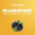 Arbor Mist Blackberry Merlot Sweet Red Fruit Wine, 750ml Bottle ...