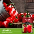 2 Packs Big Red Pepper Seeds - Non-GMO Heirloom Full Sun Annual ...