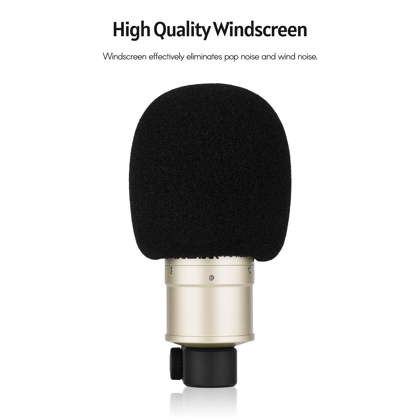 Buy TAKSTAR PC-K200 Cardioid-directional Condenser Recording Microphone ...